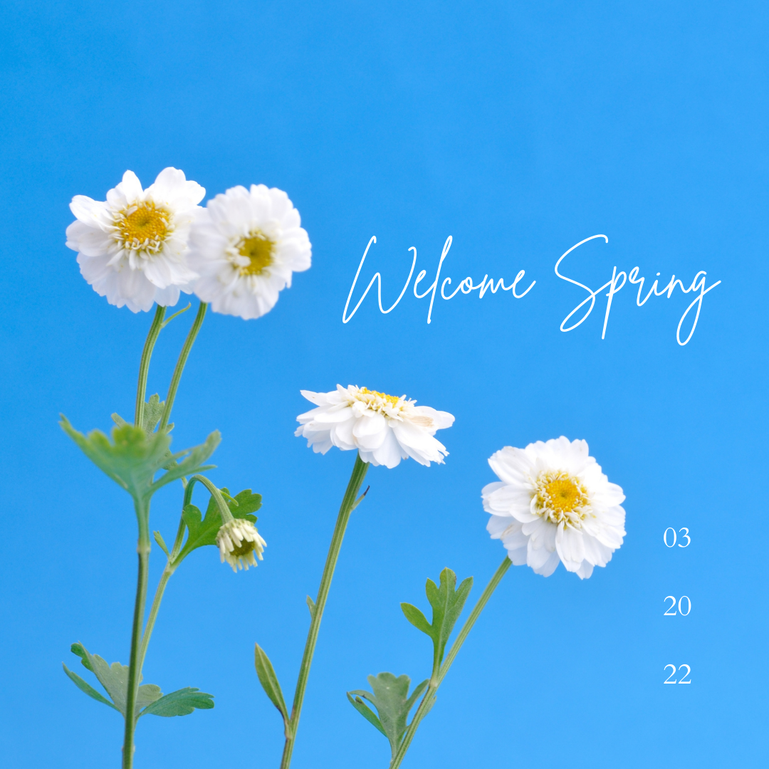 Free Social Media Posts for March – One Step Services Blog